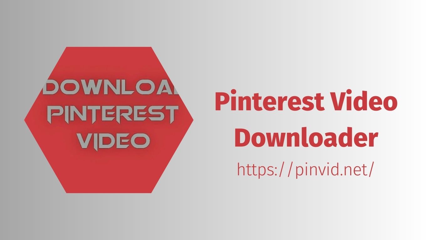 Exploring the Power of Pinvid.net – Your Ultimate Pinterest Video ...