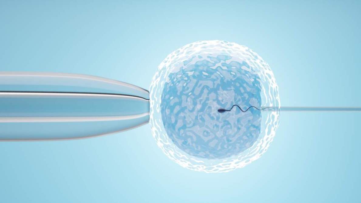 Why Choose ICSI Procedure for Assisted Reproduction? - Ezine Blog