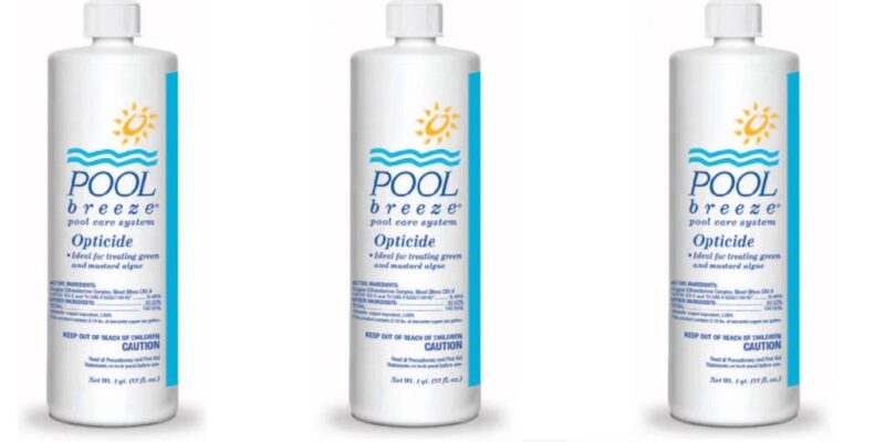 A Simple Guide to Using Swimming Pool Algaecide - Ezine Blog